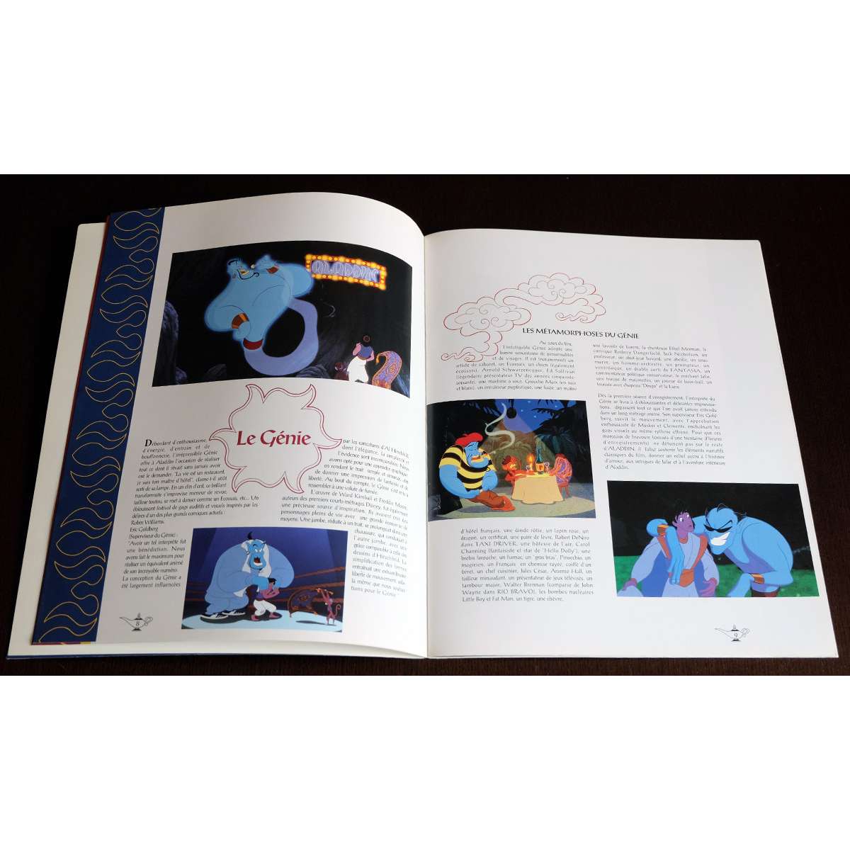 ALADDIN Program - 35p