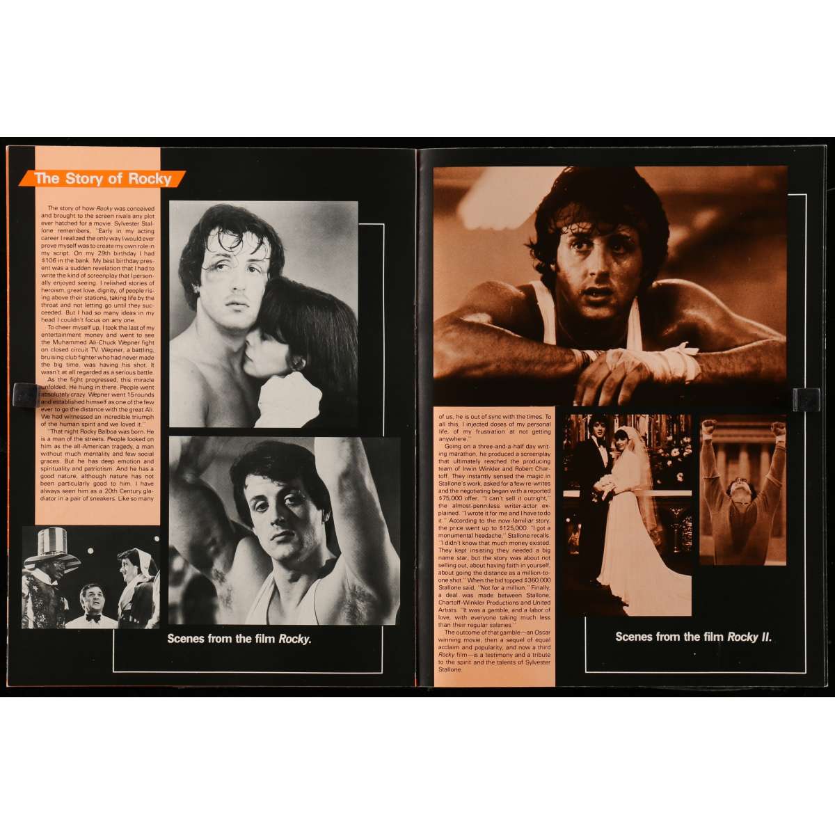 ROCKY 3 Program 24p