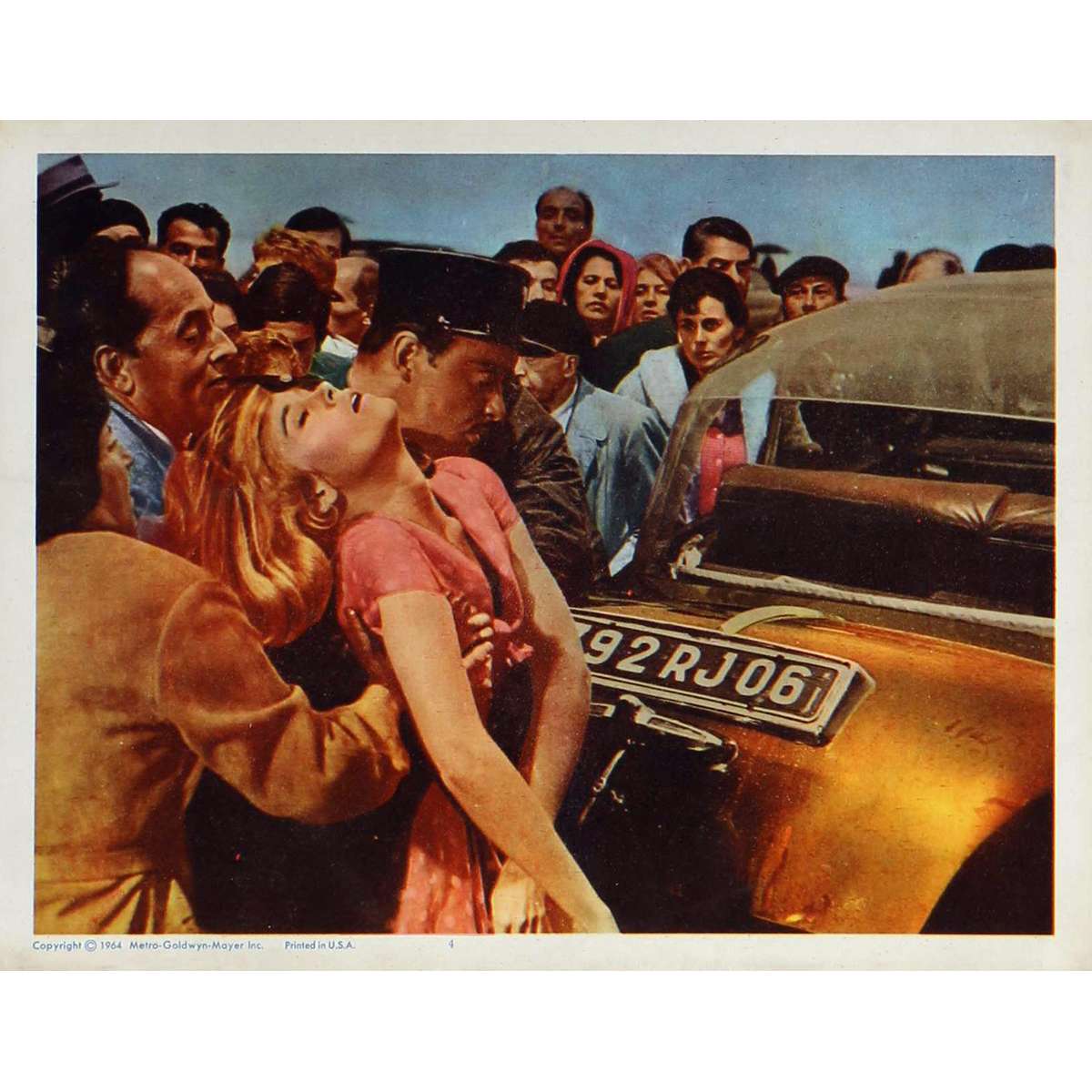 Photo de LES FELINS N03