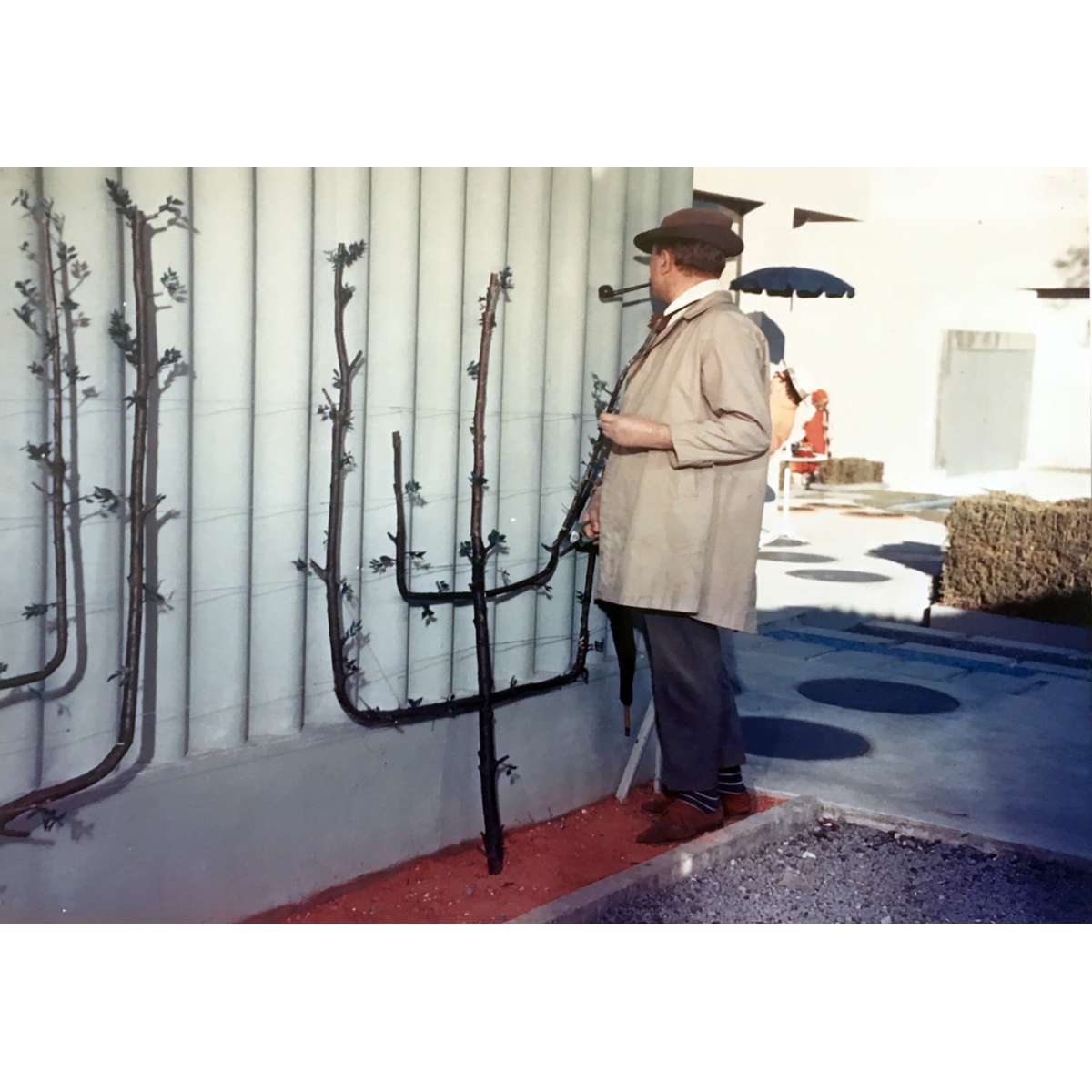 Photo de presse de MON ONCLE