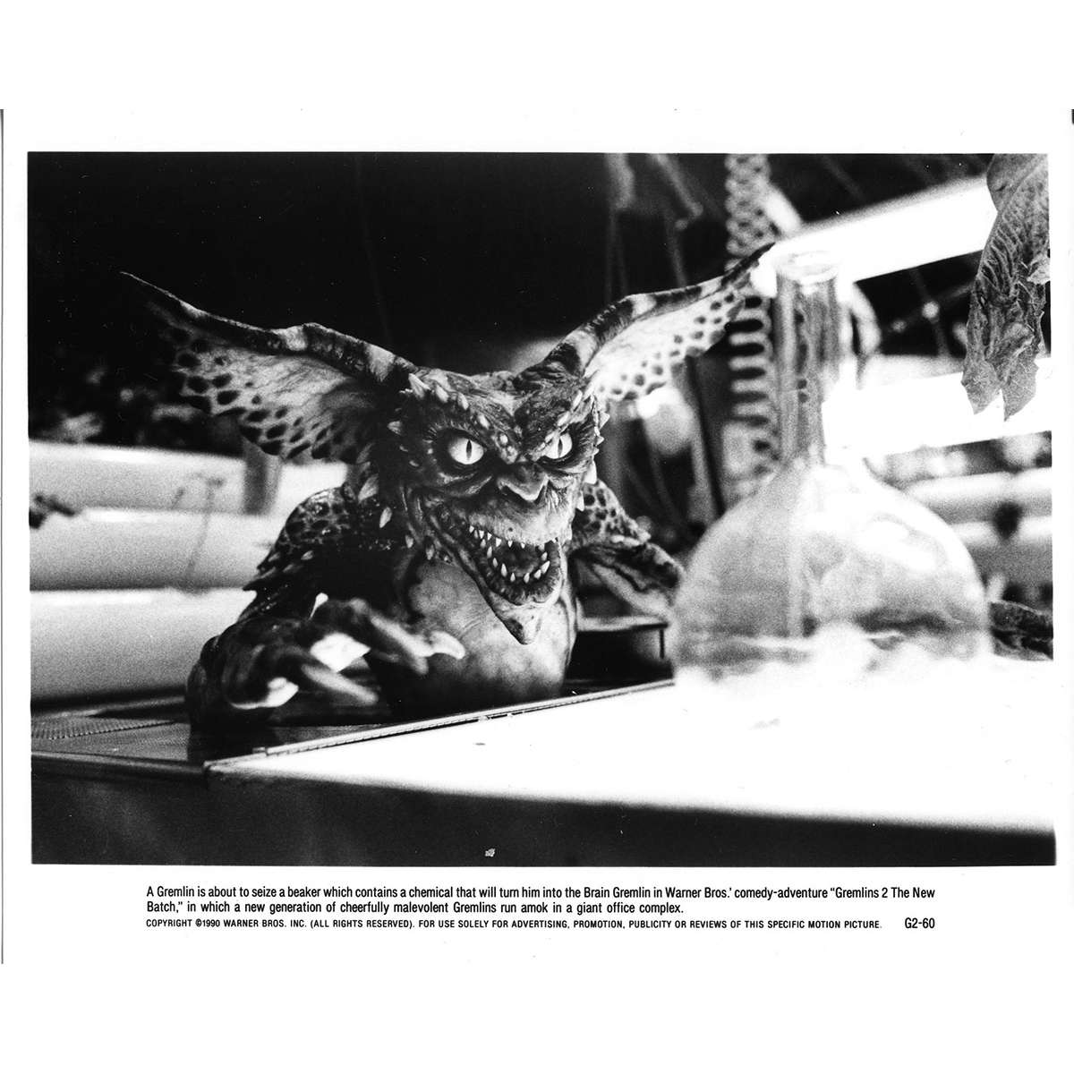 GREMLINS 2 Movie Still 8x10 in.