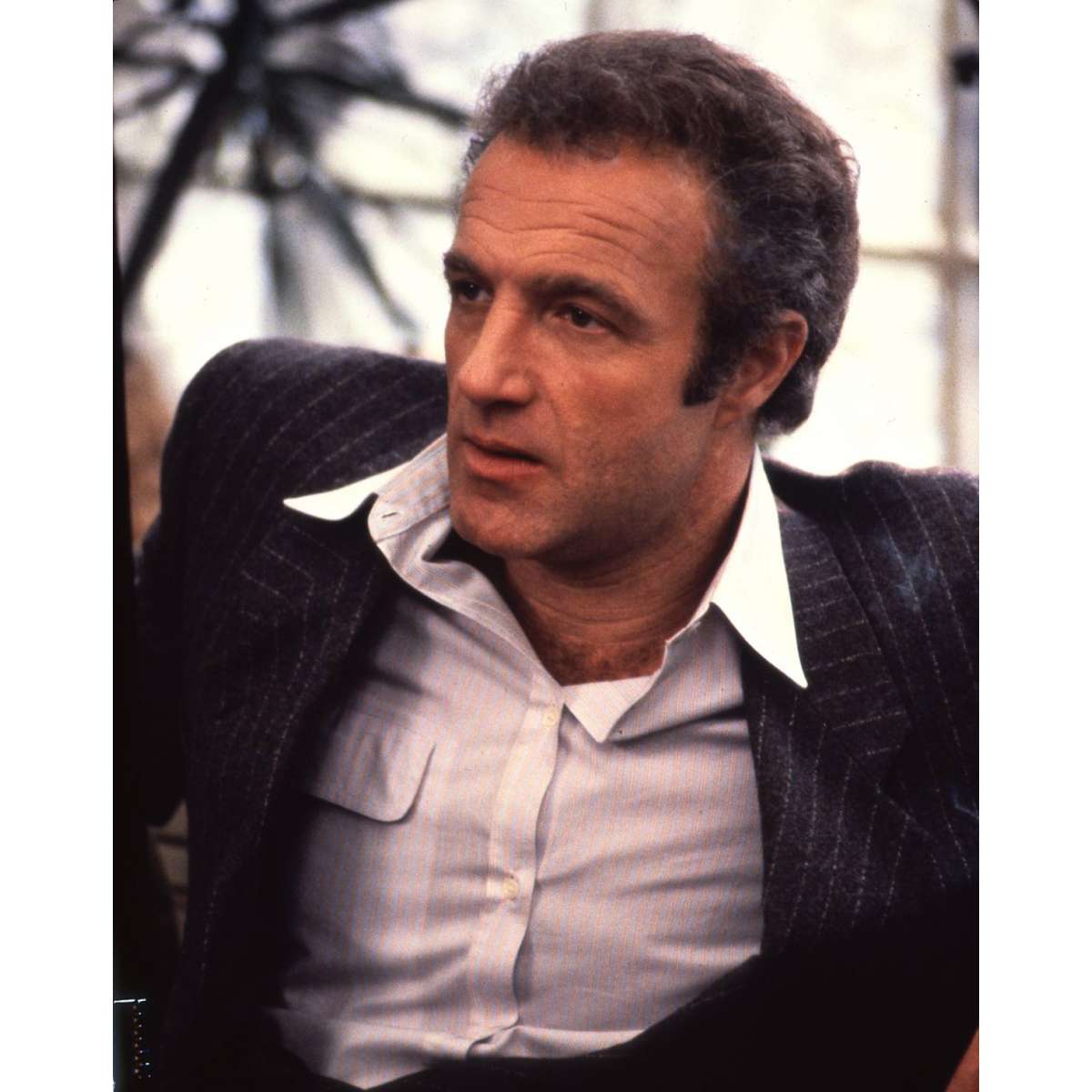 THE THIEF Transparent 4x5 in.